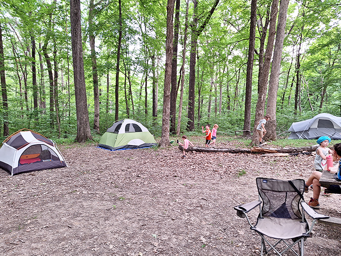 Camping among the giants: these temporary homes beneath the forest canopy remind us that the best hotel rooms have leafy ceilings.
