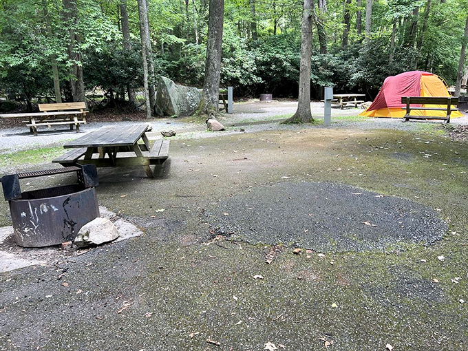 Camping simplicity at its finest. Just you, a tent, a picnic table, and approximately one million stars overhead.