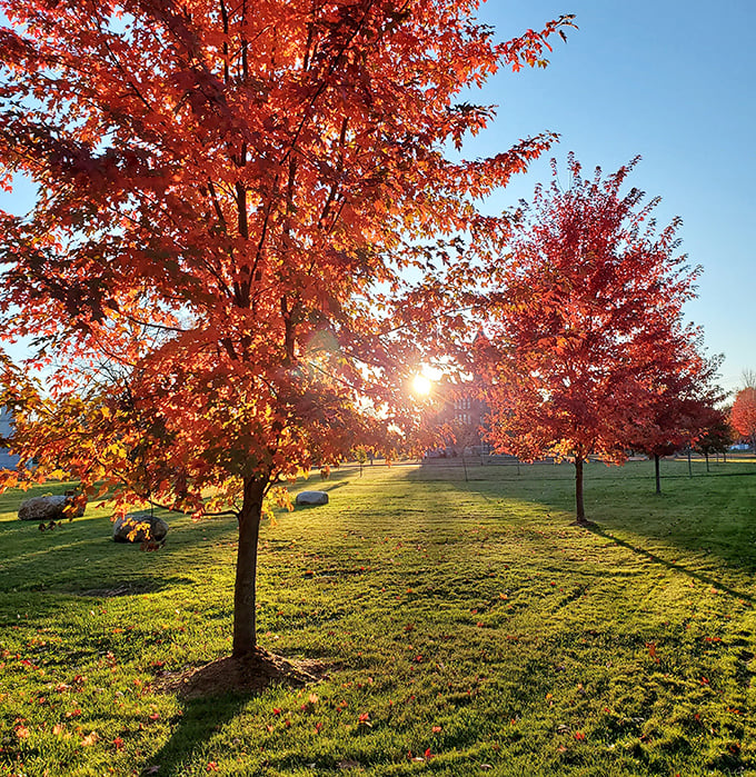 Fall's fiery display transforms Winchendon into nature's art gallery, where maple trees compete for who can wear the most vibrant shade of red.