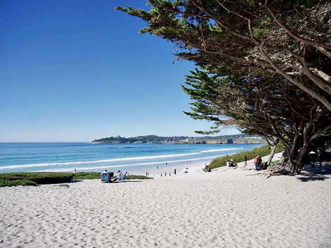 White sand that squeaks beneath your feet and cypress trees standing guard&mdash;Carmel Beach isn't just pretty, it's postcard-perfect without the filter.