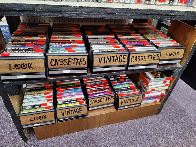 Remember when music came with B-sides and required rewinding? These vintage cassettes aren't just recordings&mdash;they're time capsules of road trips and mixtape confessions.