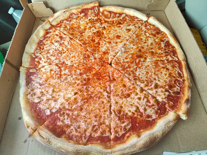 The cheese pizza arrives in its cardboard chariot, ready to prove that sometimes simplicity is the ultimate sophistication.