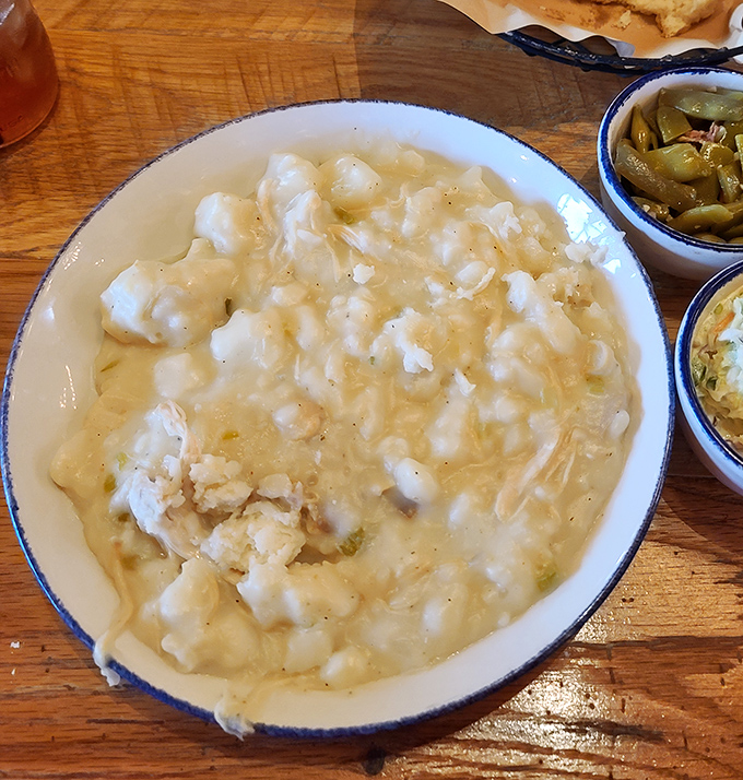 Chicken and dumplings served in a bowl big enough to swim in&mdash;exactly as nature intended it.