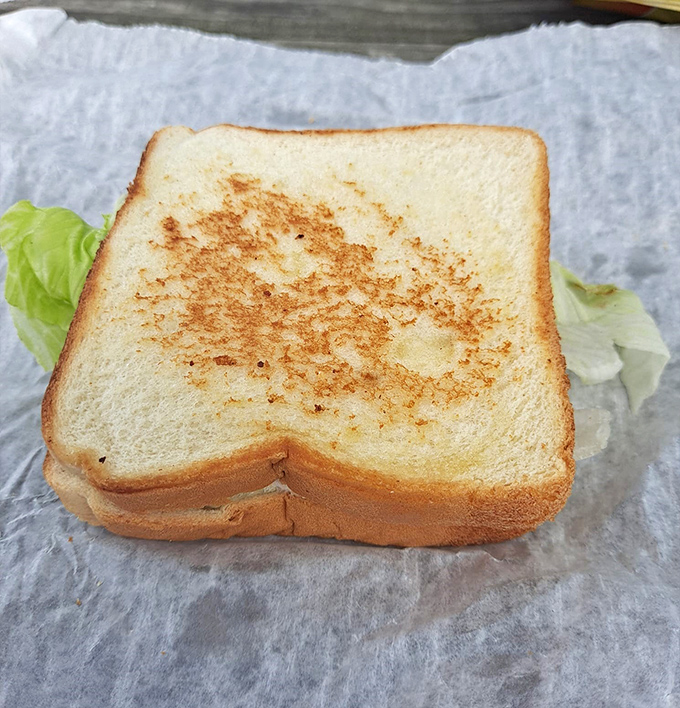 Even the humble grilled sandwich gets the royal treatment here. Golden-brown perfection that grandma would approve of.