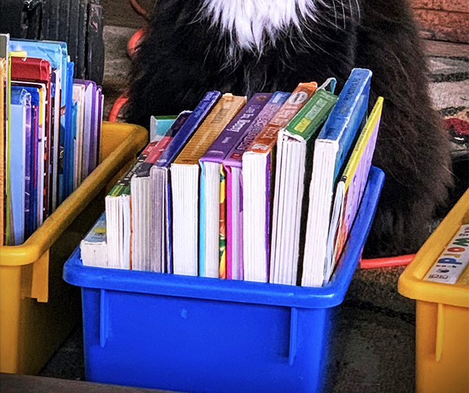 Literary treasures stacked spine to spine. One person's discarded children's book is another's bedtime story goldmine.