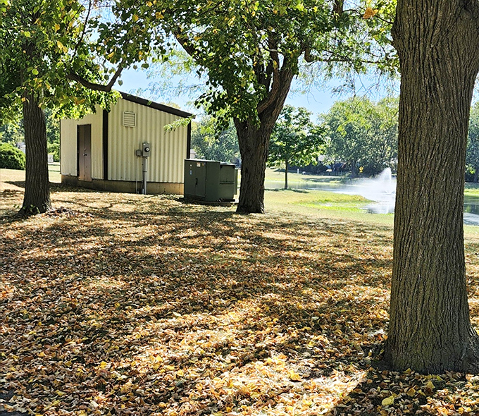 Fall colors transform Christopher Rudzinski Memorial Park into a golden retreat where the only thing falling faster than leaves are your stress levels.