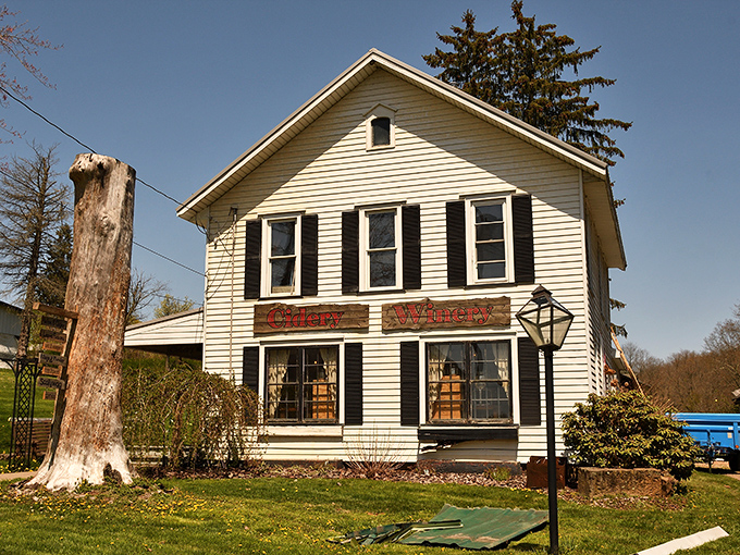 The Cidery Winery&mdash;where apple dreams come true. This classic white house serves liquid sunshine that makes even non-drinkers consider a tiny sip.