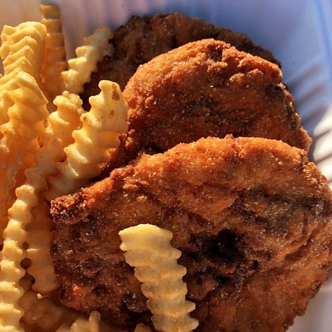 These clam cakes aren't just fried dough with a hint of seafood – they're proper clam delivery vehicles, crispy outside, steamy within.