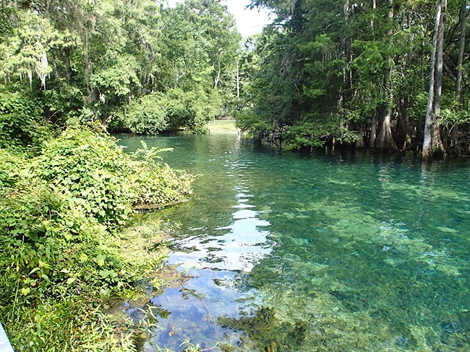 The spring run's turquoise waters look Photoshopped, but this is all-natural Florida &ndash; no filters needed on this liquid gem.
