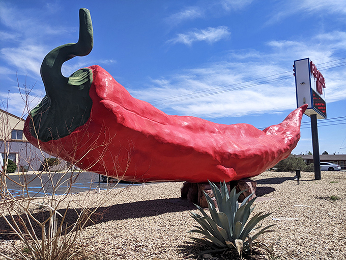 From this angle, the pepper's curved form and textured surface showcase the surprising artistry behind this quirky roadside giant.