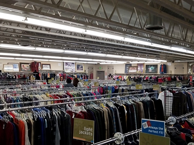 The clothing forest stretches as far as the eye can see. Each rack contains someone's former fashion statement, waiting for its encore performance.