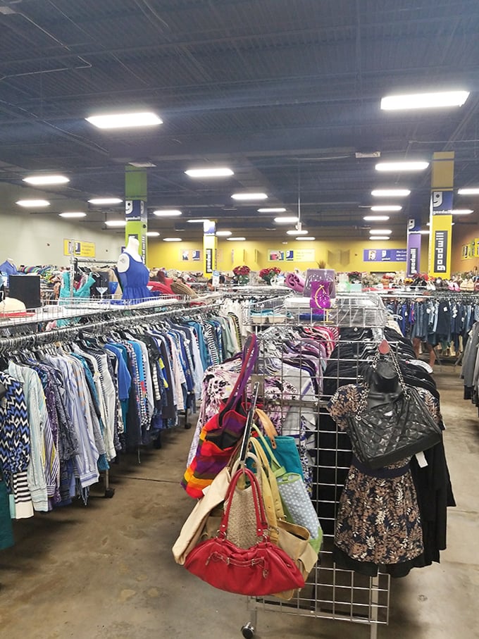 The clothing section rivals department stores in selection, minus the sticker shock. Color-coded racks make treasure hunting surprisingly civilized.