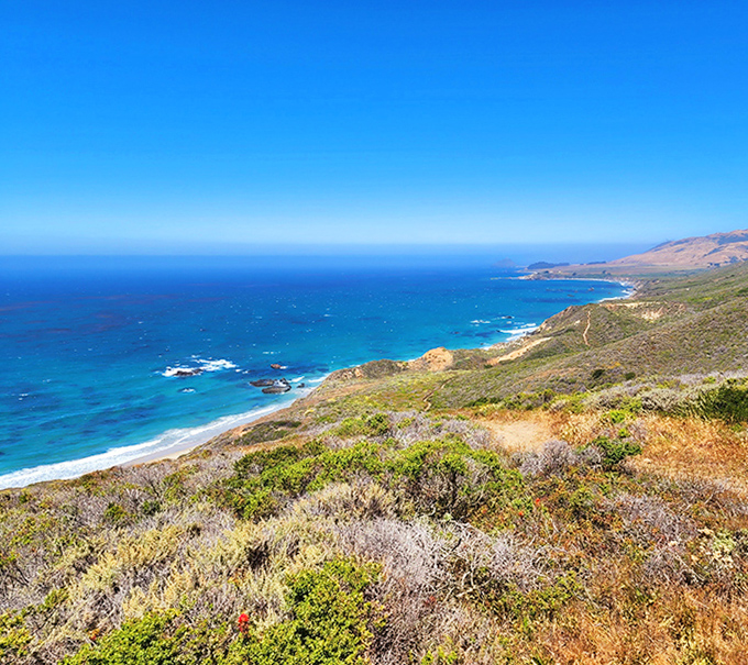 Mother Nature's masterclass in blues and golds. This view alone is worth the drive down Highway 1.