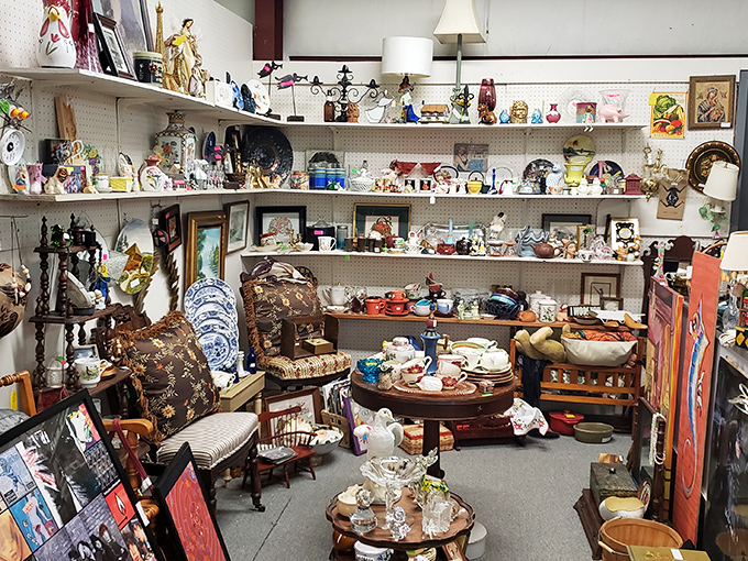 Organized chaos at its finest! Each shelf tells a different story, from delicate porcelain to practical kitchenware, all waiting for their next chapter.