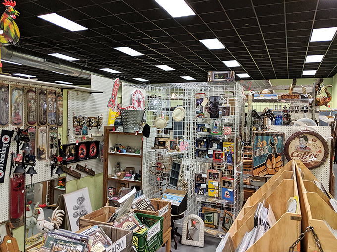 Every shelf tells a story here. This booth is like your eccentric aunt's attic, if your aunt collected absolutely everything with impeccable taste.