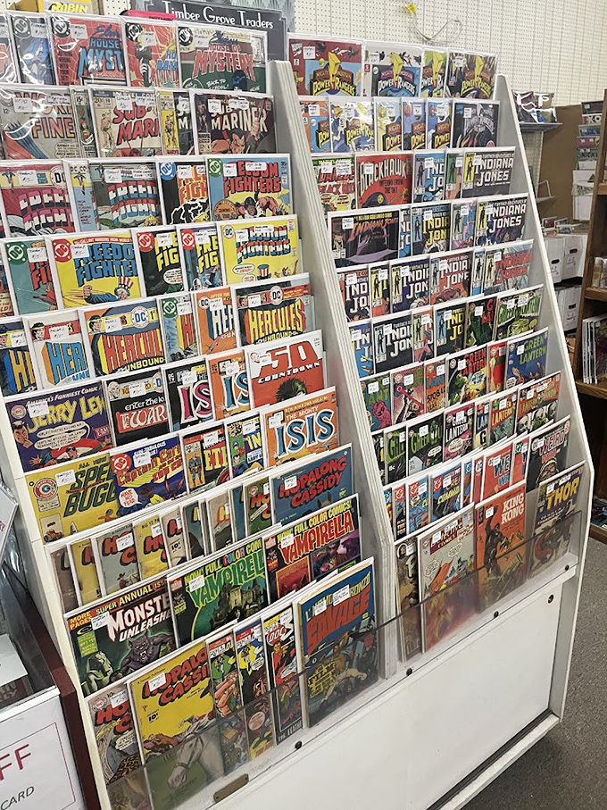 Comic book heaven! DC and Marvel classics line these racks like a time capsule of American pop culture. Superman, Power Rangers, and Indiana Jones&mdash;childhood nostalgia preserved in mint condition.