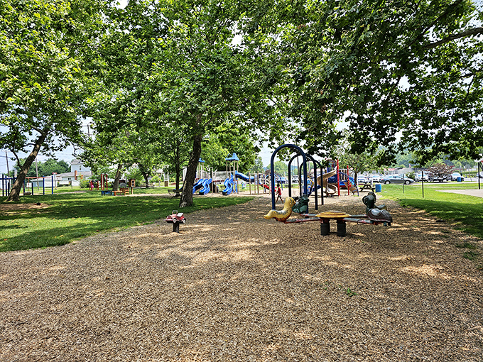 Community parks: where grandparents can tire out the grandkids before sending them home to their parents. Zelienople's playground equipment: free entertainment that beats Netflix.