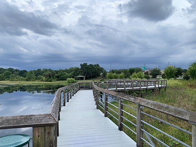 Cooter Pond Park's boardwalk invites contemplation, where the only decision more difficult than leaving is deciding which cloud reflection looks most like Elvis.
