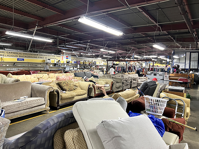 The couch safari offers specimens in every pattern and condition&mdash;from "barely sat on" to "well-loved by several generations of nap enthusiasts."