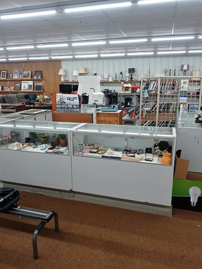Behind glass counters lie the higher-value finds&mdash;vintage jewelry, collectibles, and electronics that somehow escaped the clutches of eBay resellers.
