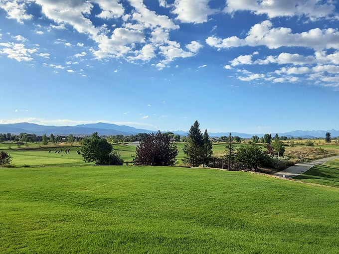 Golf with a view! Montrose's pristine fairways come with complimentary mountain panoramas that make even a triple bogey feel like a spiritual experience.