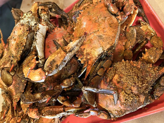 These steamed crabs aren't just dinner; they're an interactive experience where the reward for your labor is sweet, succulent meat.