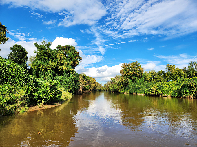 Nature's screensaver comes to life. The Yadkin River flows gently through lush greenery, offering a tranquil escape just minutes from downtown.