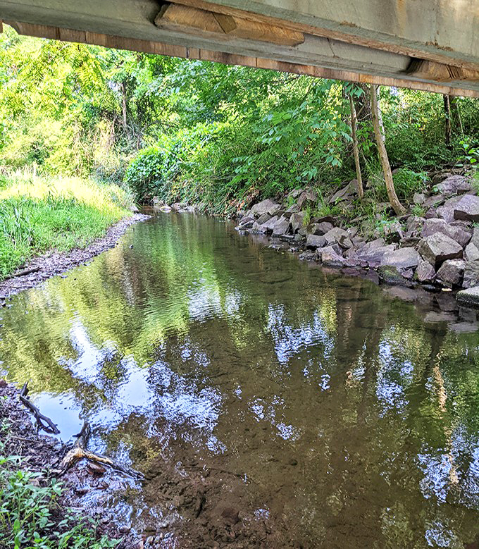 Beneath the bridge, Tohickon Creek whispers stories of generations past. This peaceful waterway has witnessed more history than most history books actually cover.