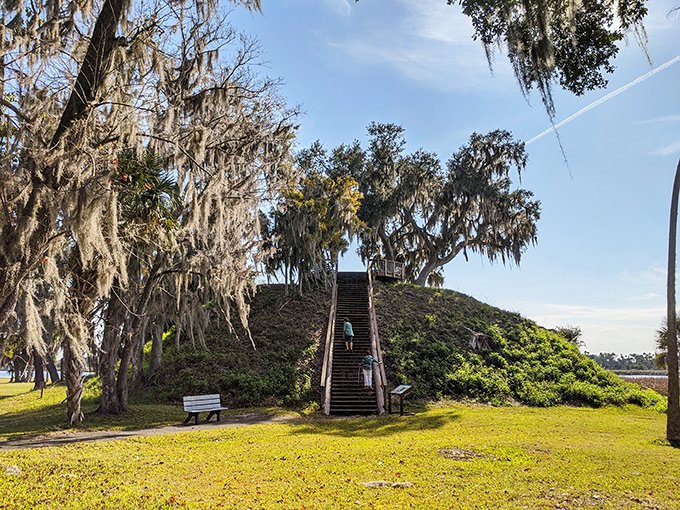Ancient history rises from the landscape at Crystal River Archaeological State Park, where climbing these steps connects you to Florida's fascinating pre-Columbian past.