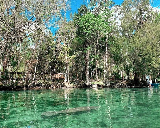 Crystal-clear waters reveal nature's aquarium beneath. No wonder they named this place after its transparency rather than its mystery.