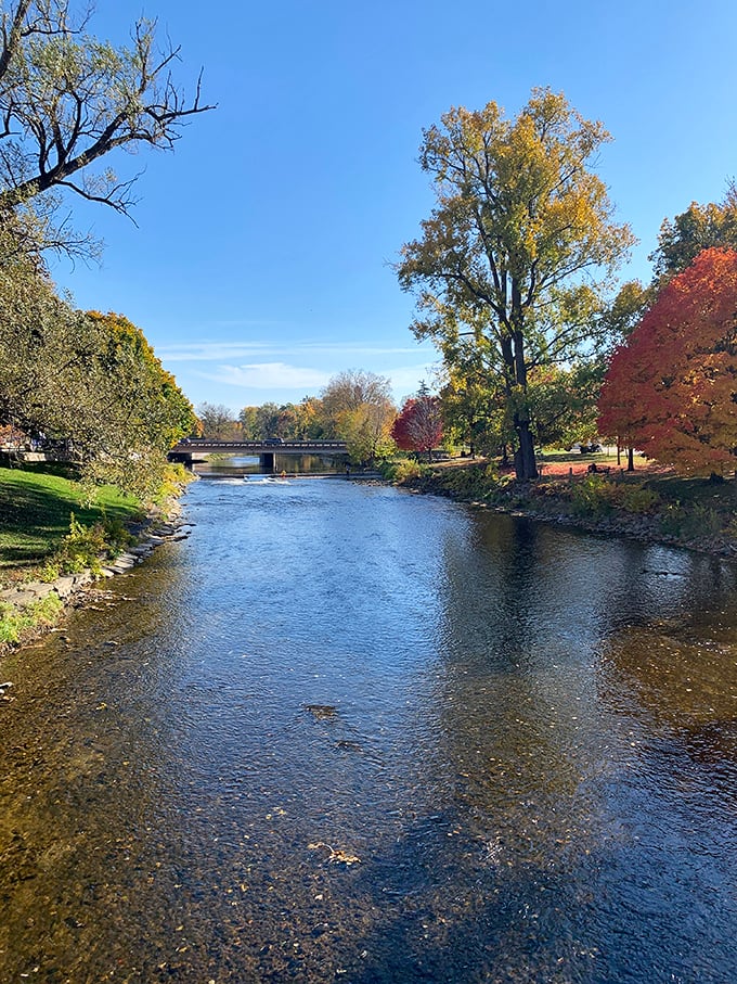 The Shiawassee River winds through town like a blue ribbon tying together Owosso's natural beauty.