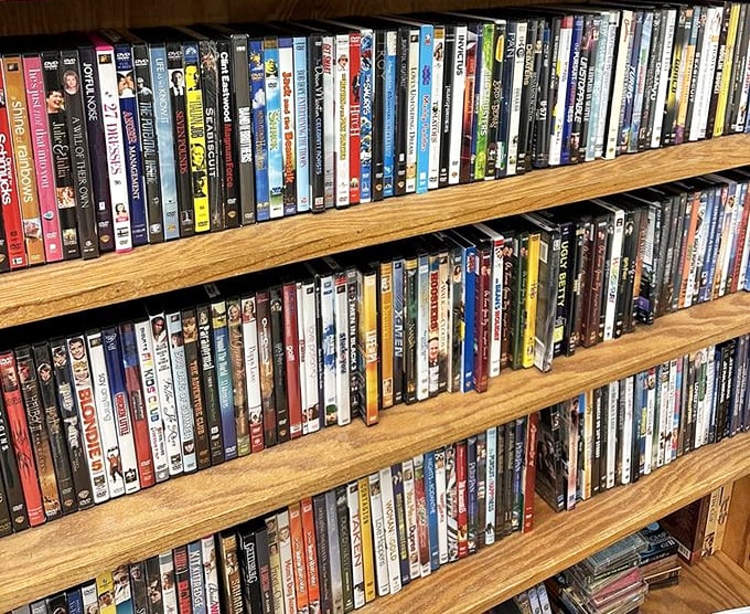 Movie night just got more affordable! These neatly arranged DVDs offer entertainment gold without the streaming subscription fees.