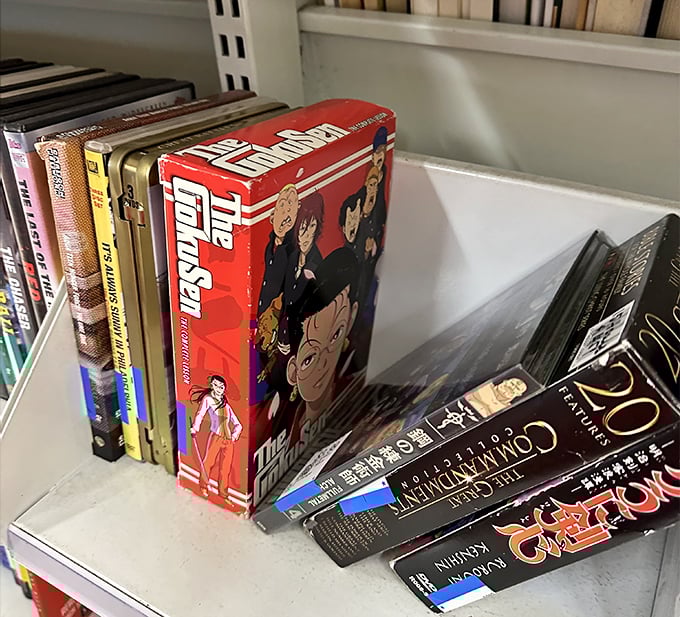 Anime treasures hiding between forgotten blockbusters. The DVD section is where entertainment nostalgia lives on, waiting for its second act.
