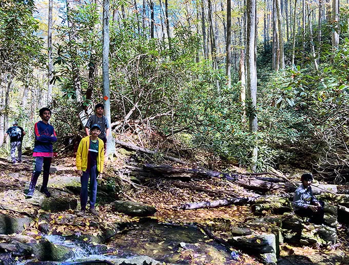 A mountain stream crossing adds adventure to the journey. Nothing says "authentic outdoor experience" like the possibility of wet socks.
