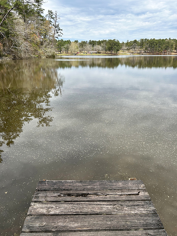 Nature's front-row seat. This weathered dock offers the perfect vantage point for contemplating life's big questions or simply watching ripples spread.
