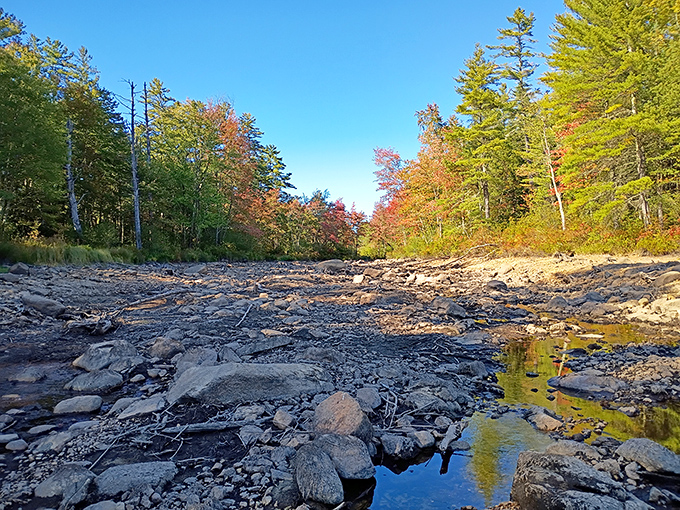Even in drier seasons, the riverbed tells stories of rushing waters past, with colorful fall foliage providing a stunning backdrop.