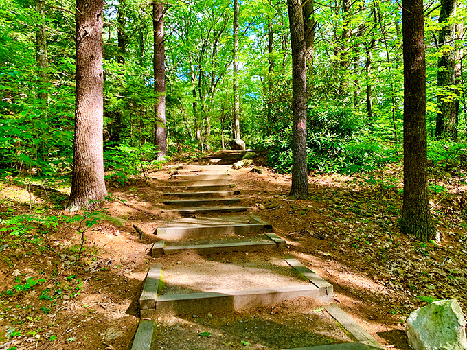 These rustic steps at Dunn State Park invite hikers to venture deeper into nature's embrace, where cell service fades and conversation flourishes.