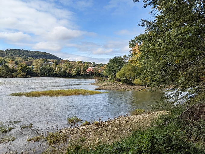 The Susquehanna River doesn't just flow through Towanda; it's the liquid soul of the community, offering serenity you can't download from any app. 