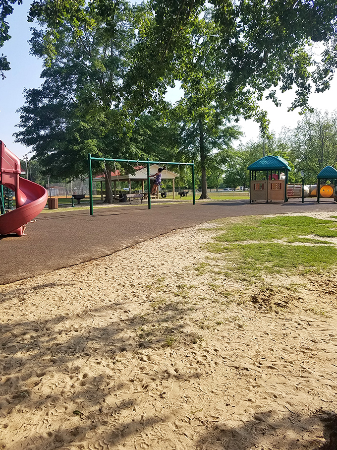 The playground at Ebenezer Park proves that sometimes the best entertainment for kids doesn't require batteries or Wi-Fi&mdash;just sunshine and imagination.