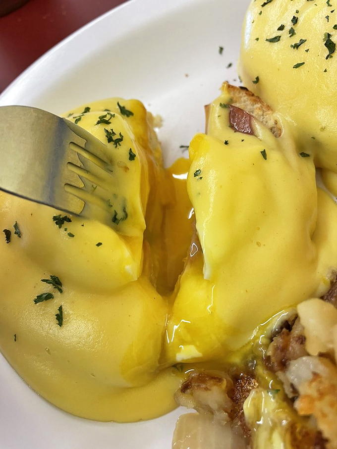 Jim's Eggs Benedict isn't just breakfast&mdash;it's a masterclass in hollandaise perfection, with that sunshine-yellow sauce cascading down like a morning waterfall.