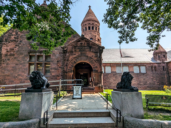 The Fairbanks Museum's majestic stone lions guard a treasure trove of natural wonders, like sentinels protecting knowledge itself.