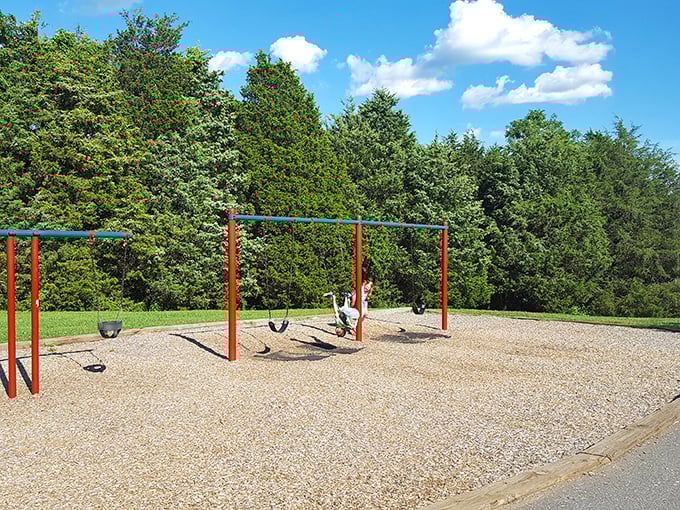 Remember when playgrounds were simple but magical? This swing set doesn't need flashing lights to create childhood joy&mdash;just gravity and imagination. 