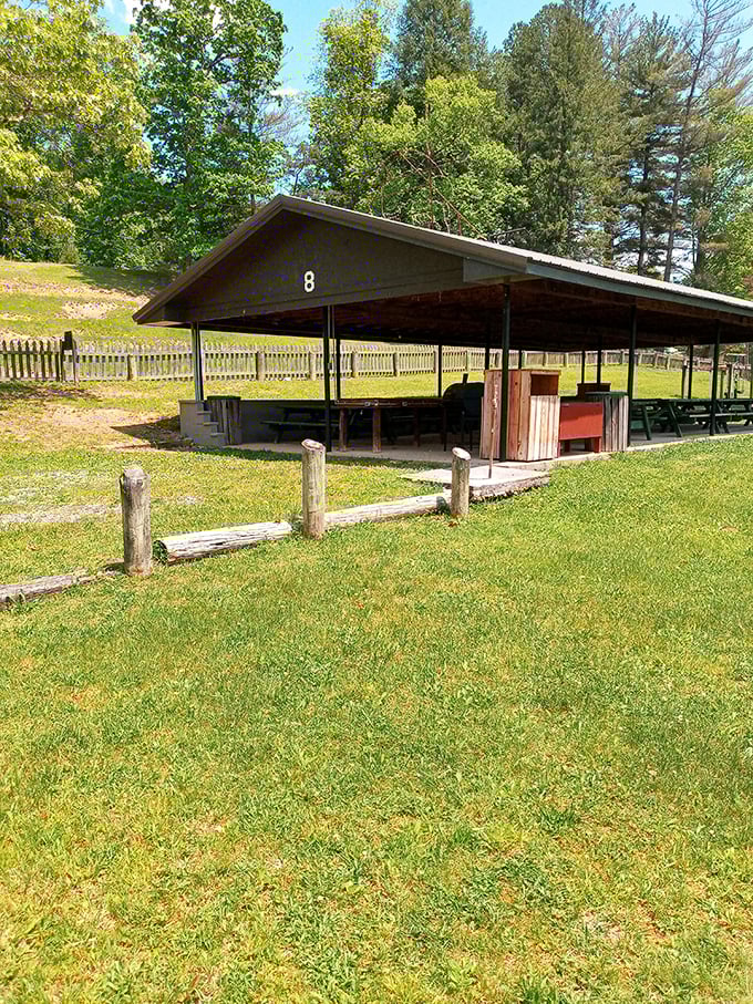 This rustic picnic shelter has hosted countless family reunions, where potato salad recipes are guarded more closely than state secrets.