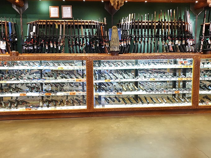 Enough firearms to outfit a small militia, displayed with the reverence usually reserved for fine art in fancy museums.