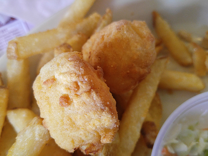 Close-up perfection: these golden-fried seafood morsels achieve that mythical balance of crispy exterior and tender interior that seafood lovers dream about.