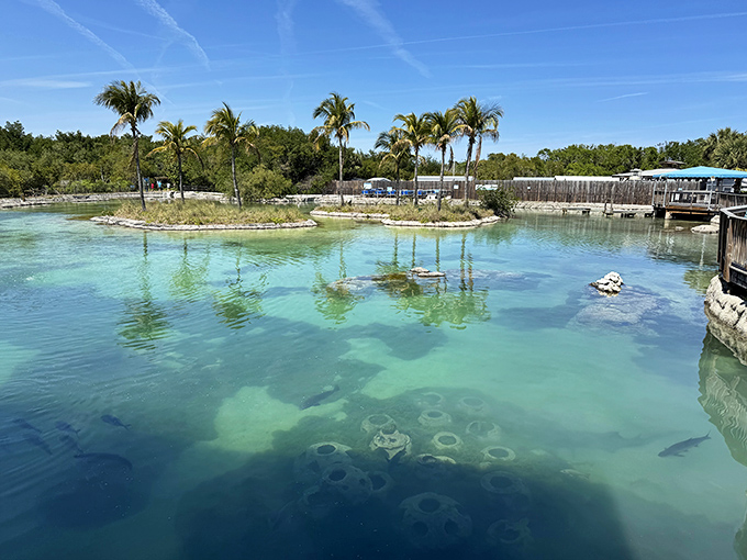 Crystal waters at the Florida Oceanographic Center reflect palm trees so perfectly, you'll wonder which side is reality.