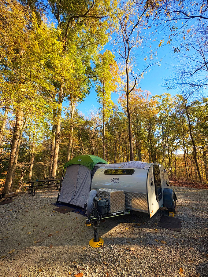 Camping nirvana achieved! Fall foliage creates the perfect backdrop for this cozy setup &ndash; like glamping in nature's five-star accommodation.
