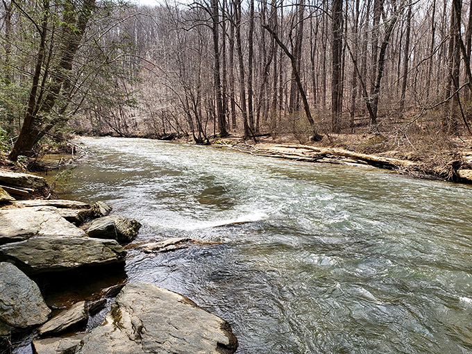 Deer Creek in early spring: where the water runs clear, cold, and completely unimpressed by your claim that you're "just going to dip your toes in."