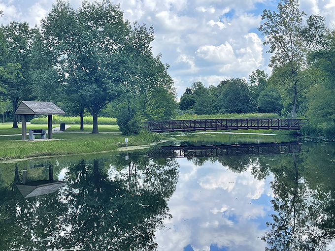 This footbridge leads somewhere peaceful, which is exactly where your brain has been trying to get all week.
