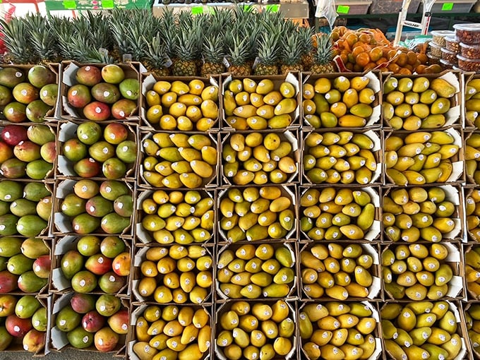 Nature's color palette on full display. These mangoes and citrus fruits look so perfect, you'd think they were auditioning for a still life painting.